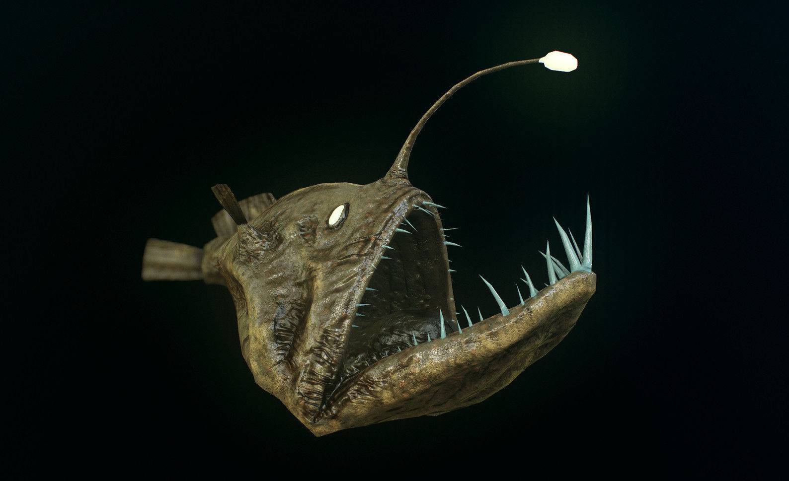 Fish with a flashlight: what an anglerfish looks like and why the ...